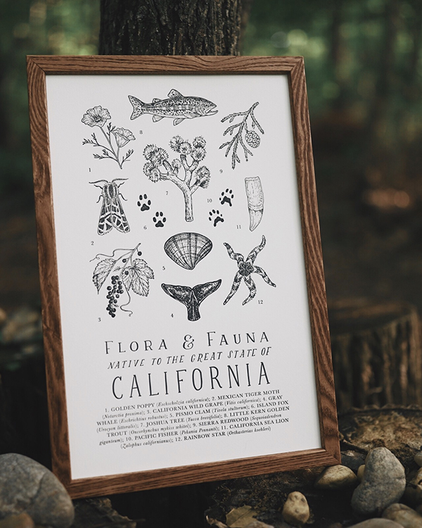 Let's See That Printed: Field Guide Prints - Boxcar Press